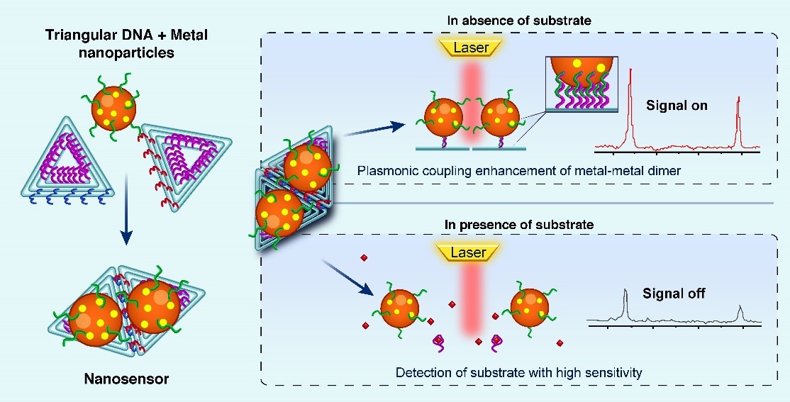 Cara Membuat Graphical Abstract: Contoh Graphical Abstract | Editage ...