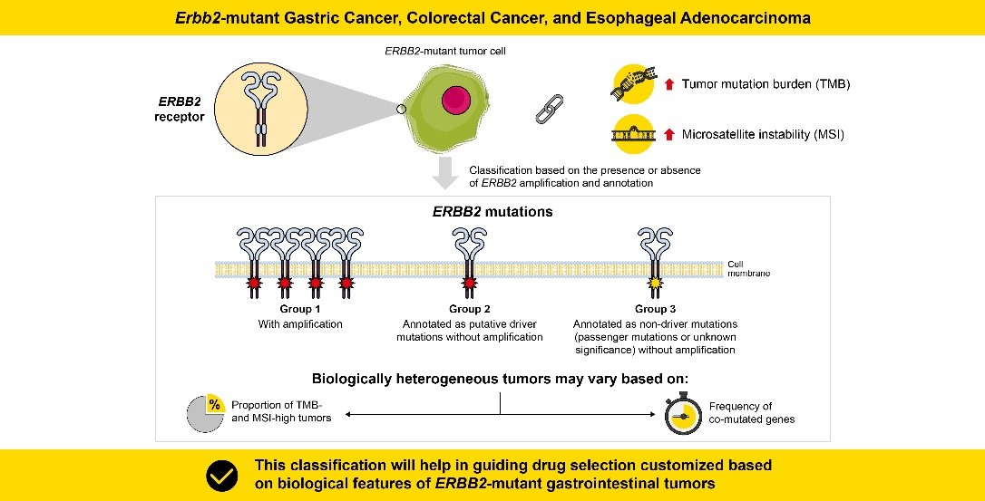 Cara Membuat Graphical Abstract: Contoh Graphical Abstract | Editage ...