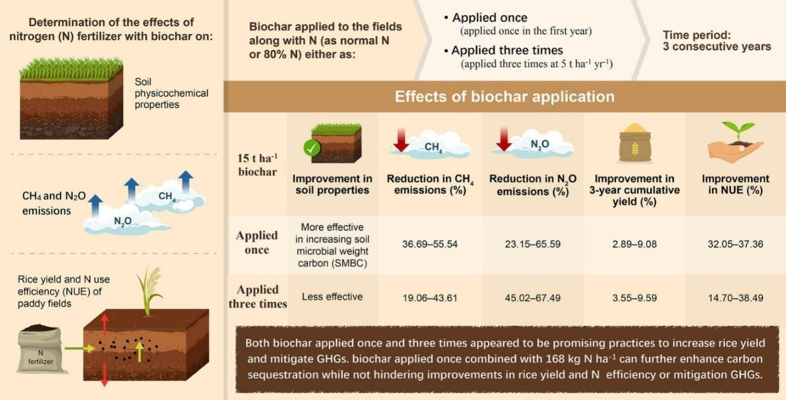 Cara Membuat Graphical Abstract: Contoh Graphical Abstract | Editage ...